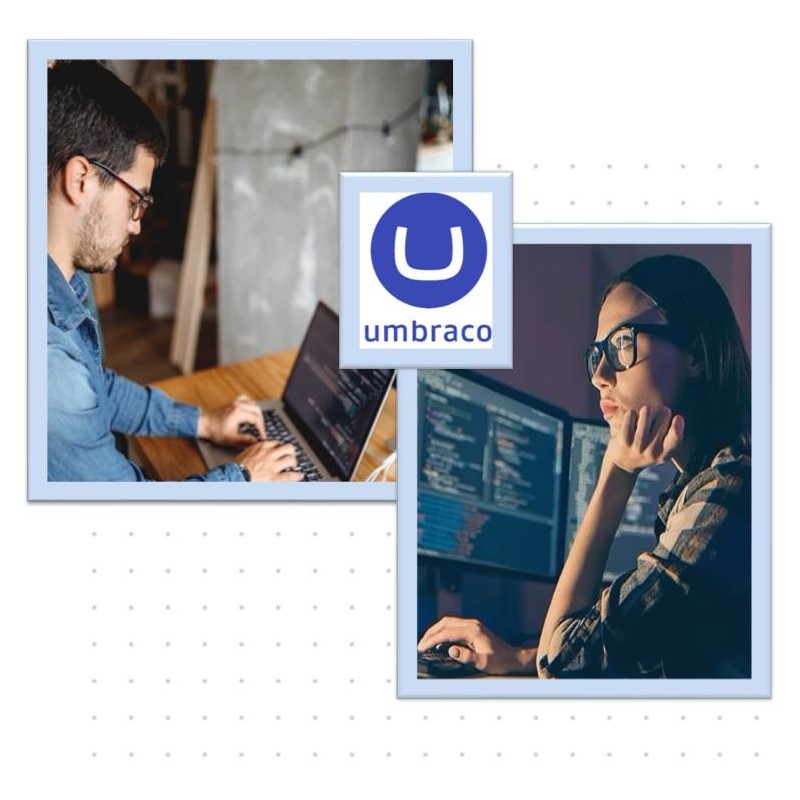 Umbraco CMS Web Development Services Company in USA